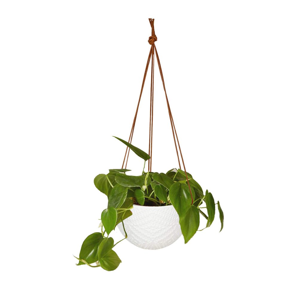 Hanging Flower Pots Png